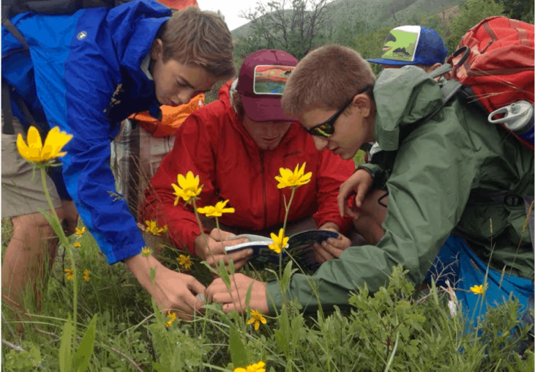 Place-Based Education: Communities as Learning Environments