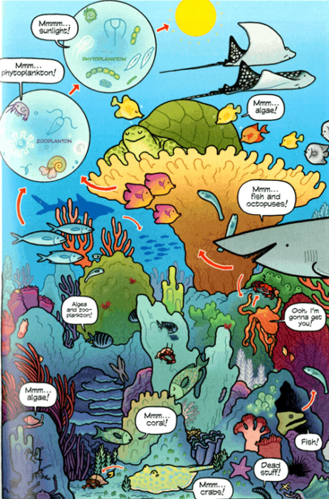 Smart Review | Science Comic Series is Fun Reading