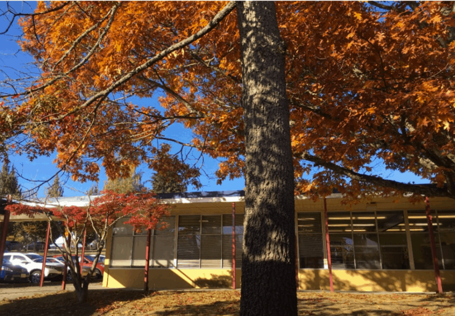 Personalization and Real-World Learning at Big Picture Schools