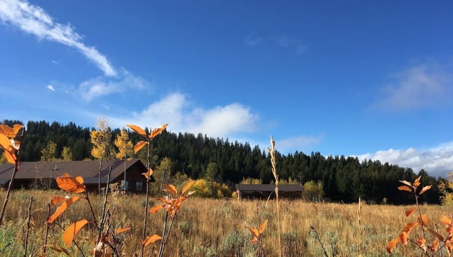 6 Phases of Professional, Place-Based Learning | Getting Smart