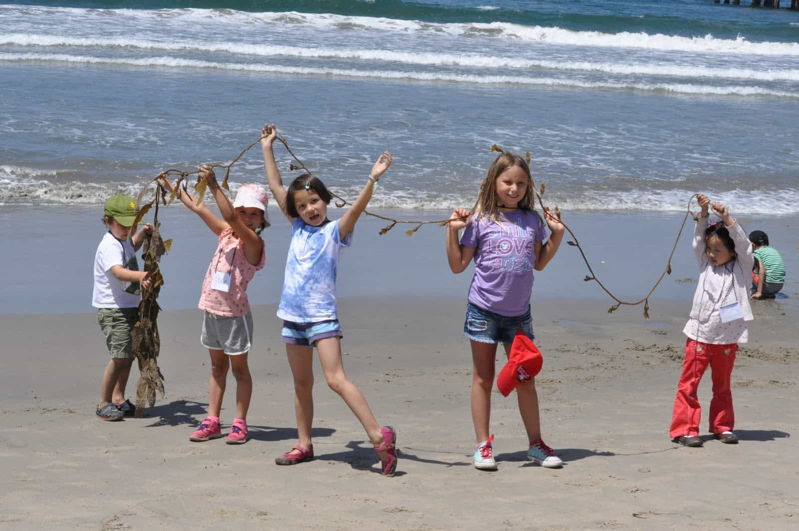 How to Overcome the Challenge of Teaching Marine Science Online ...