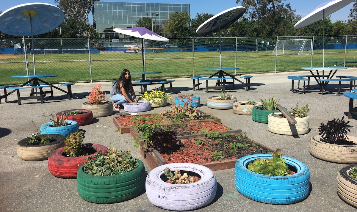 What to Credential? | Getting Smart